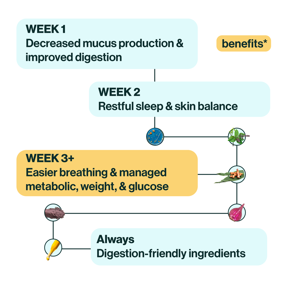 Power Gut™ Bundle | Prebiotic & Probiotic Supplement | ResBiotic